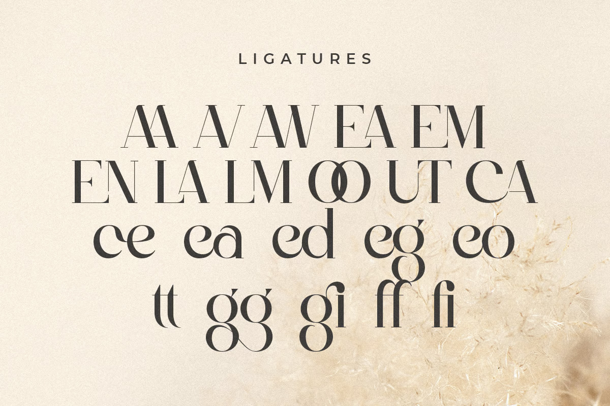 Alice - Feminine Stylish Font