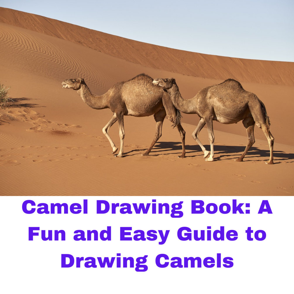 Camel Drawing Book: A Fun and Easy Guide to Drawing Camels