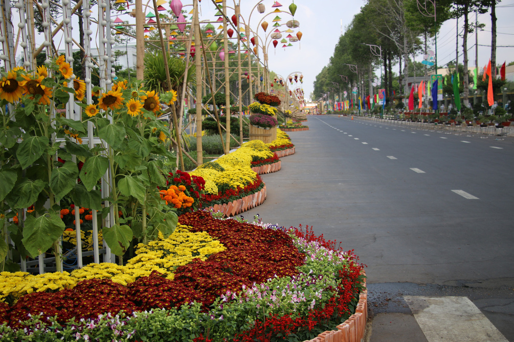 Flower in Dong Thap province