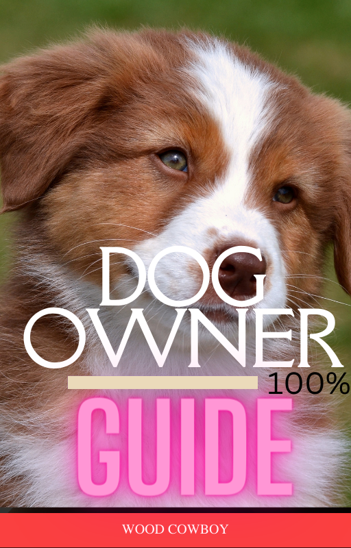 Dog Training Guide