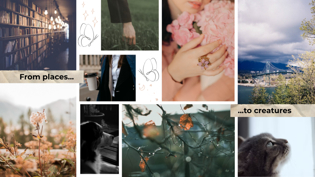 Custom Aesthetic Moodboard – Personalized Just for You!