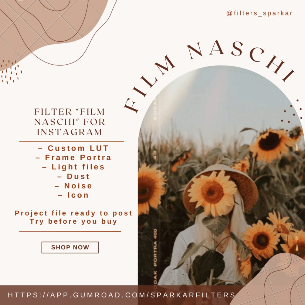 Spark Ar Filter "Film Naschi" Lut + Frame Portra + Dust + Noise (for ...