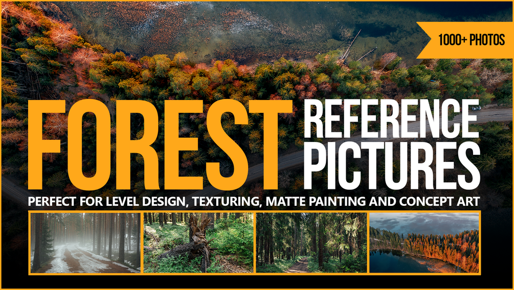 1000+ Forest Reference Pictures