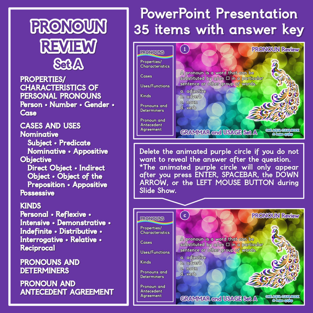 Pronoun Review (Set A) PowerPoint Presentation