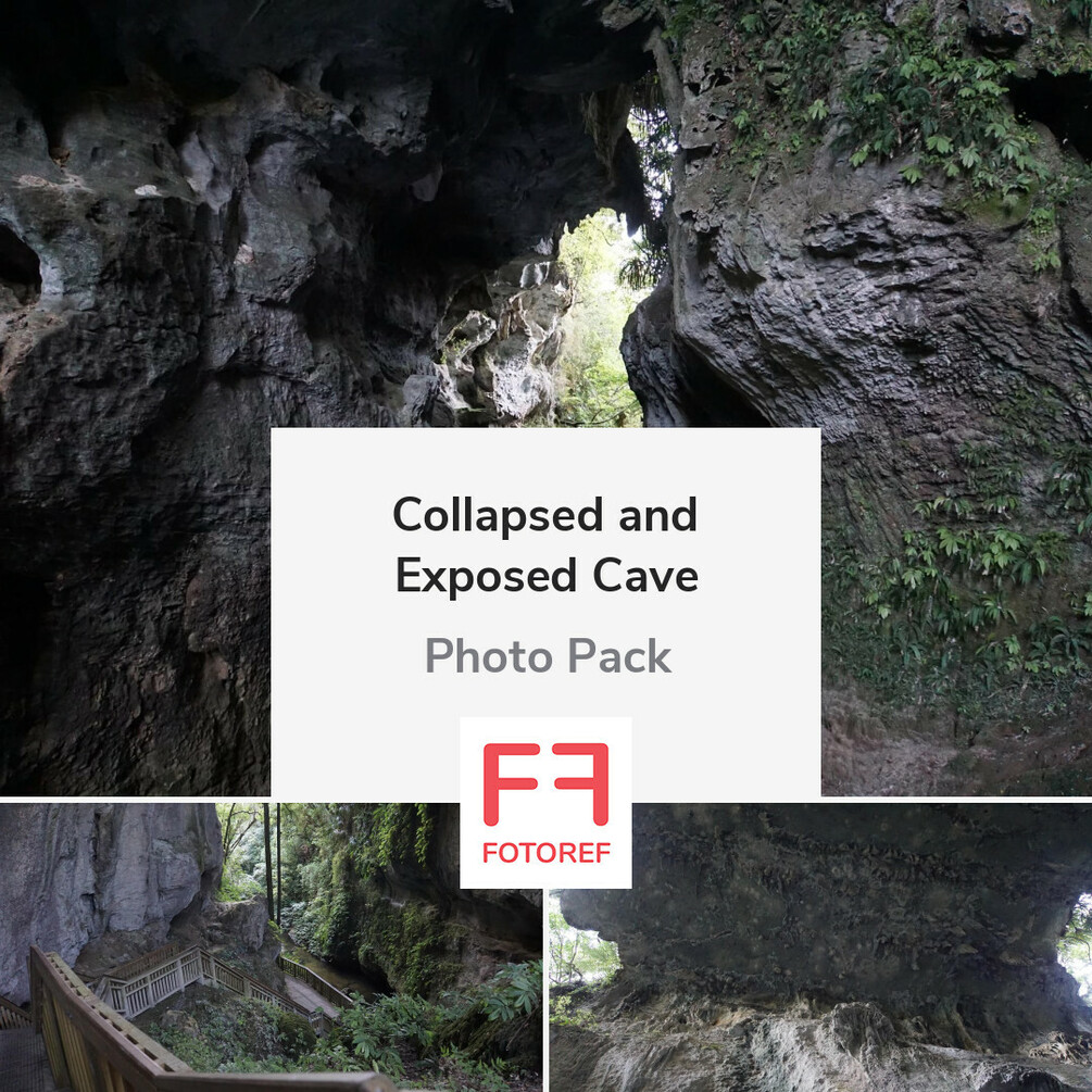 138 photos of Collapsed and Exposed Cave