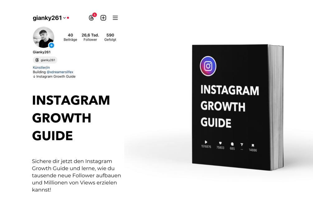 Instagram Growth Guide