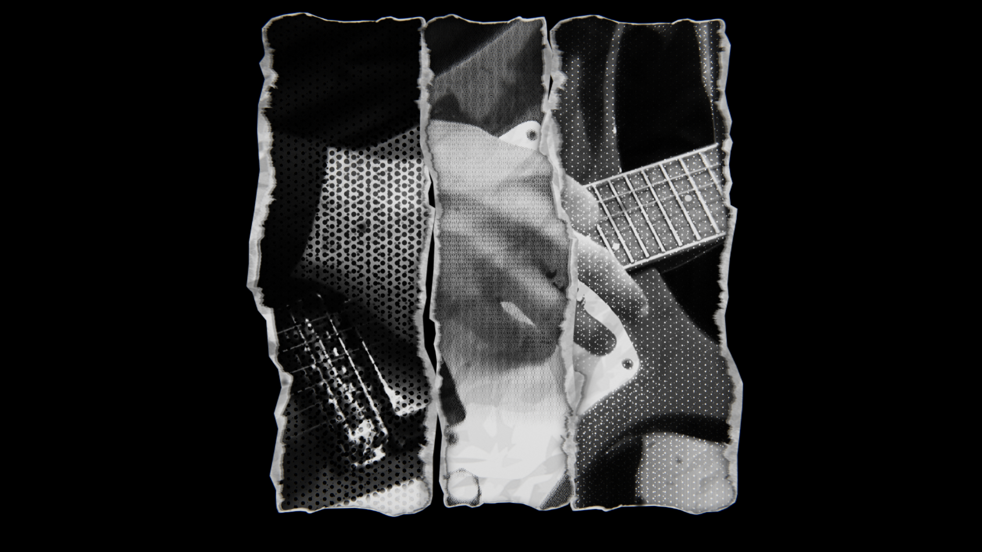 PAPER RIP ROLLER X6 | IMAG FX