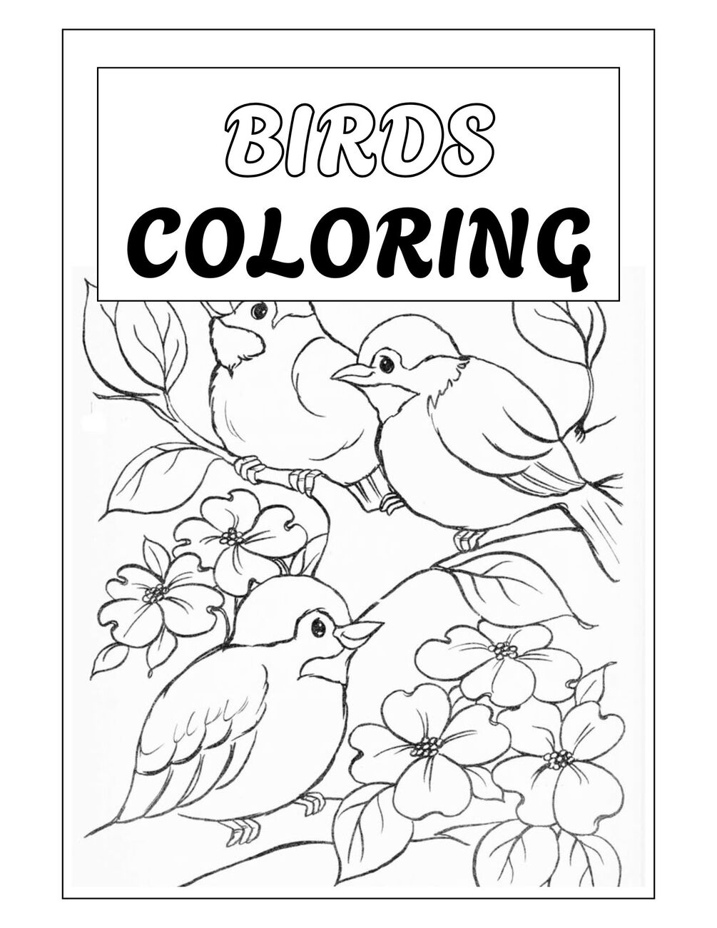 birds coloring
