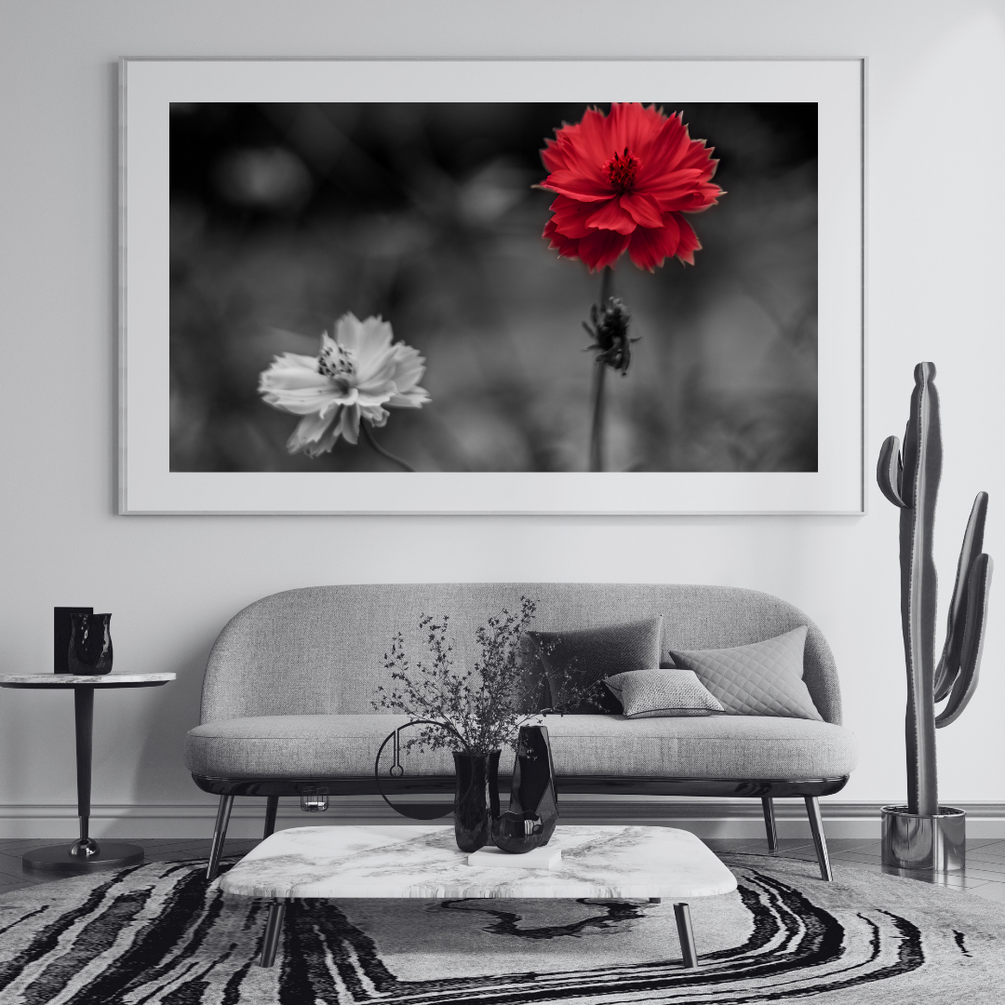 Minimalist Red Flower Wall Art – Bold Botanical Photography for Modern ...