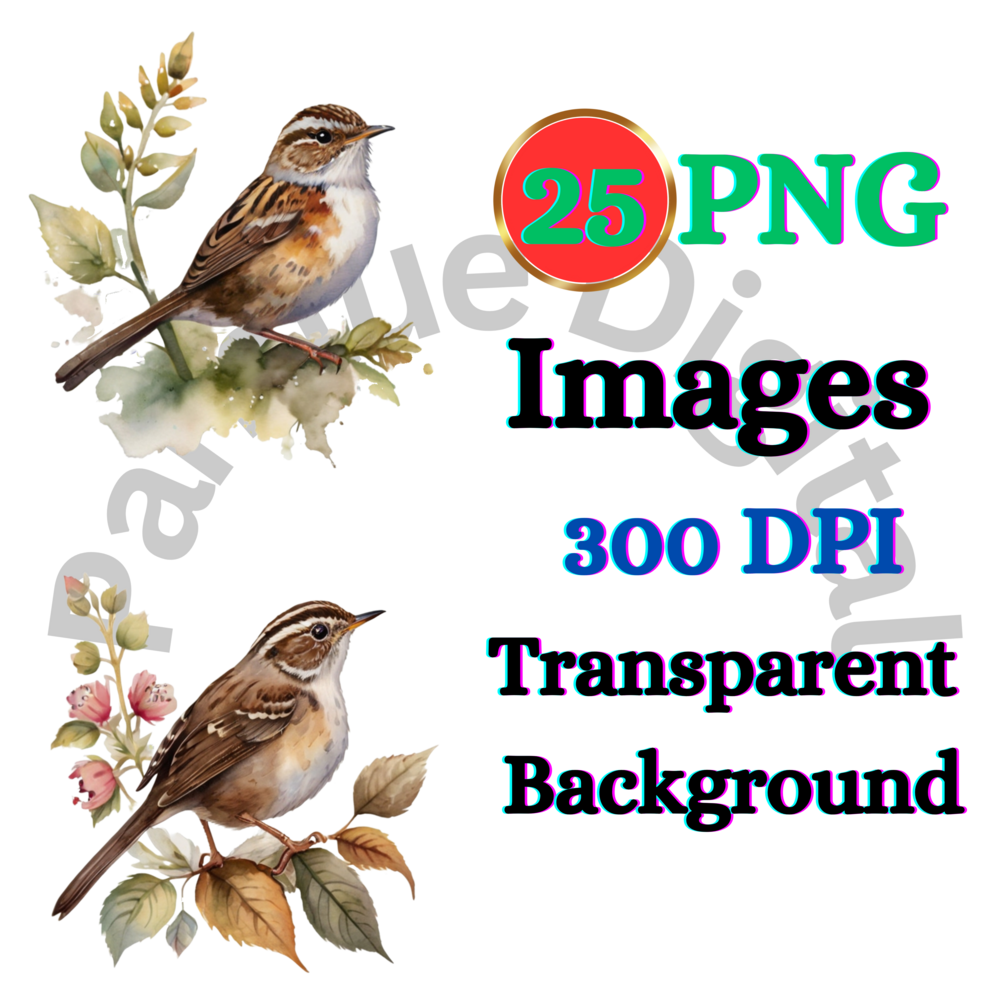 Wren Bird Clip Art With Transparent Background | Digital Download ...