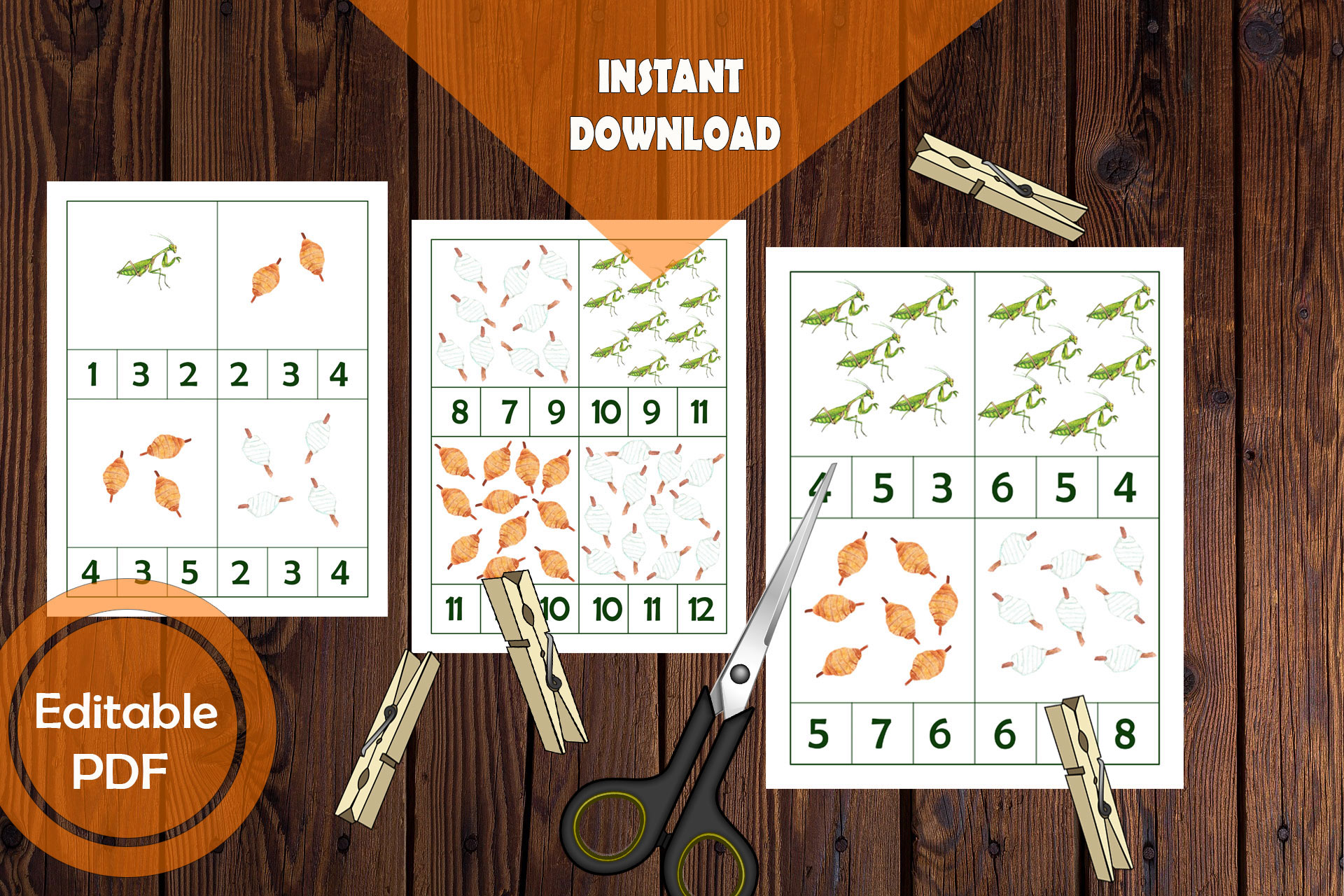 PRAYING MANTIS ANATOMY AND LIFE CYCLE, Body parts, diagram and activities