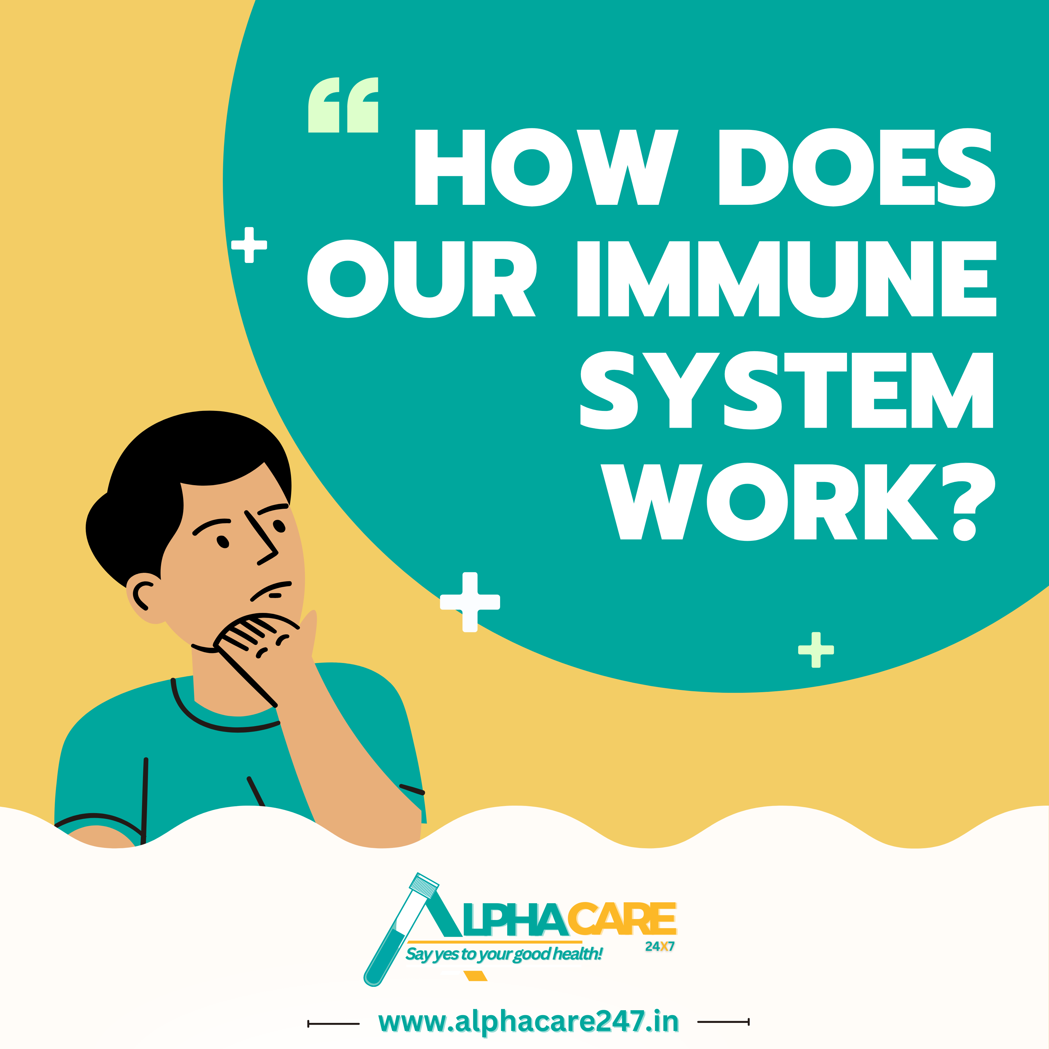 What is Immune system? How to strengthen/improve immune system? how to ...