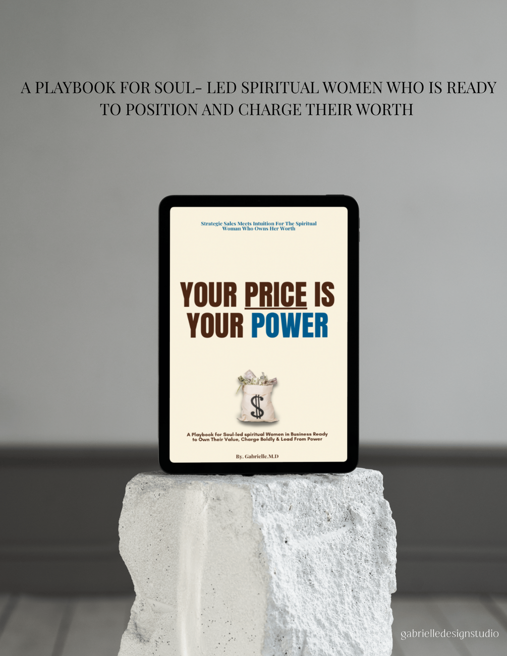 Your Price Is Your Power Playbook + workbook