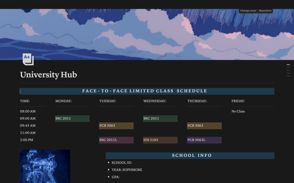 Ultimate College Organization Template