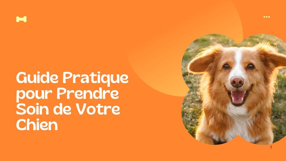 GUIDE PRATIQUE POUR PRENDRE SOIN DE VOTRE CHIEN