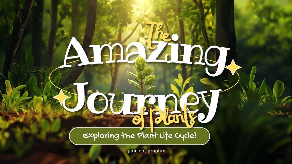 🌱 The Amazing Journey of Plants: Exploring the Plant Life Cycle! 🌿