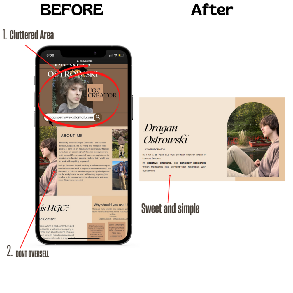 Portfolio Breakdown (PAY WHAT YOU WANT)