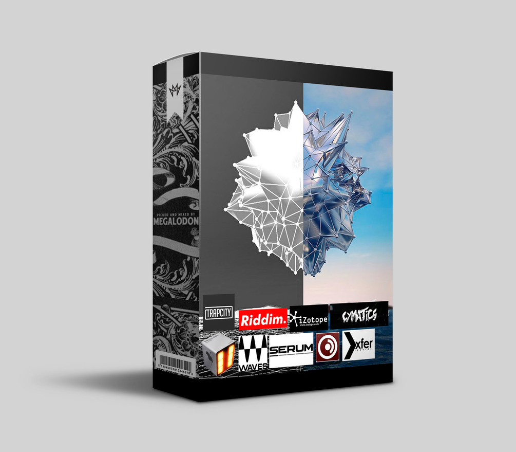 Melodic Riddim Template