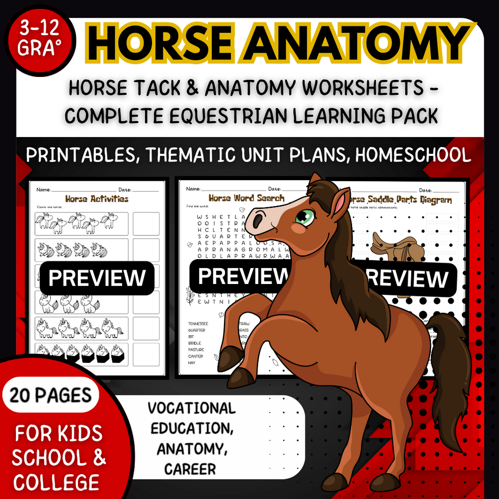 Horse Tack & Anatomy Worksheets - Complete Equestrian Learning