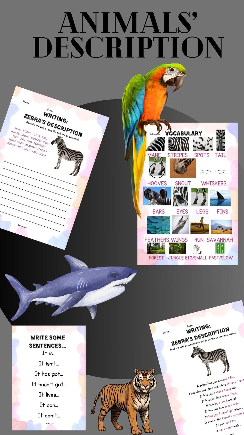 ANIMALS DESCRIPTIONS writing