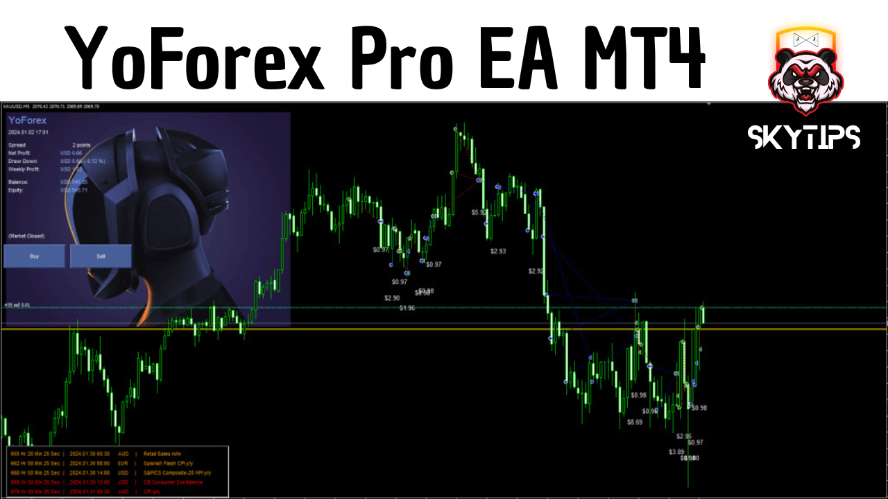 YoForex Pro EA MT4