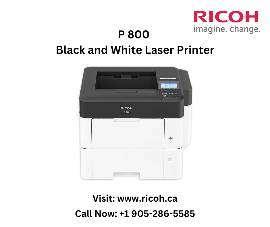 P 800 Black and White Laser Printer