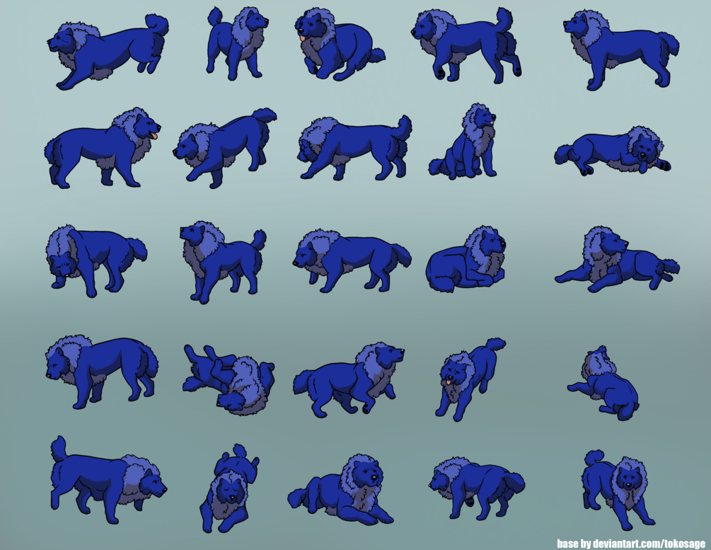 Standard Tokota Curly Mane HP Sheet 2