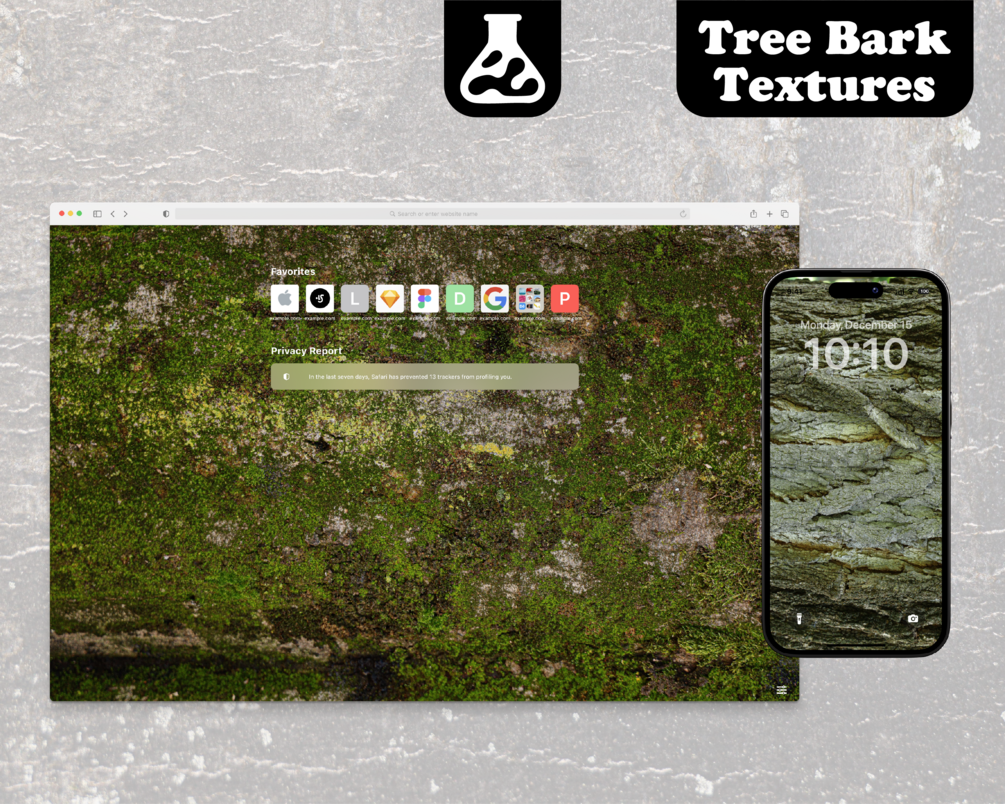 Tree Bark Textures Pack: High-Resolution Wood Backgrounds (6000x4000px JPG)