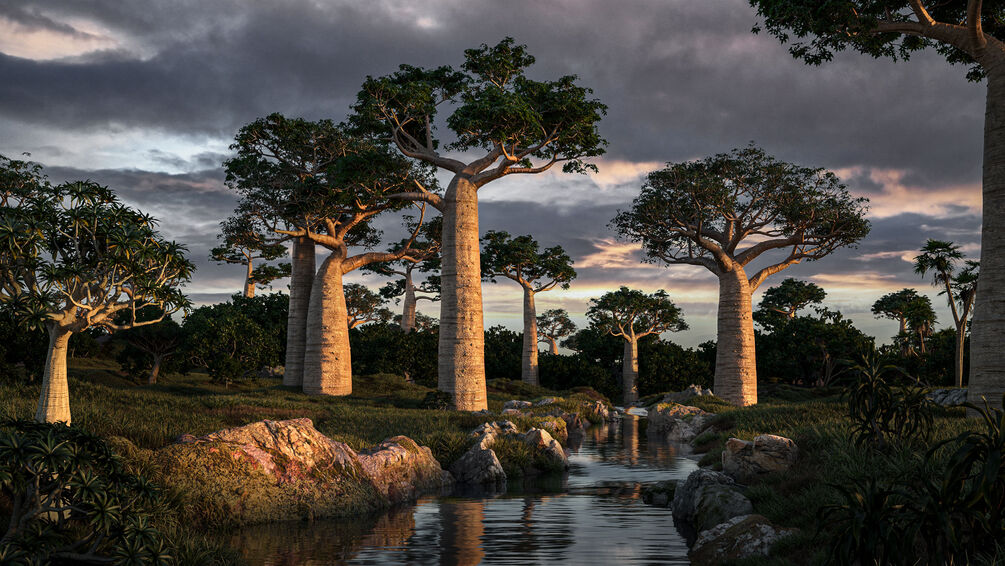 Maxtree Plant Models Vol 41