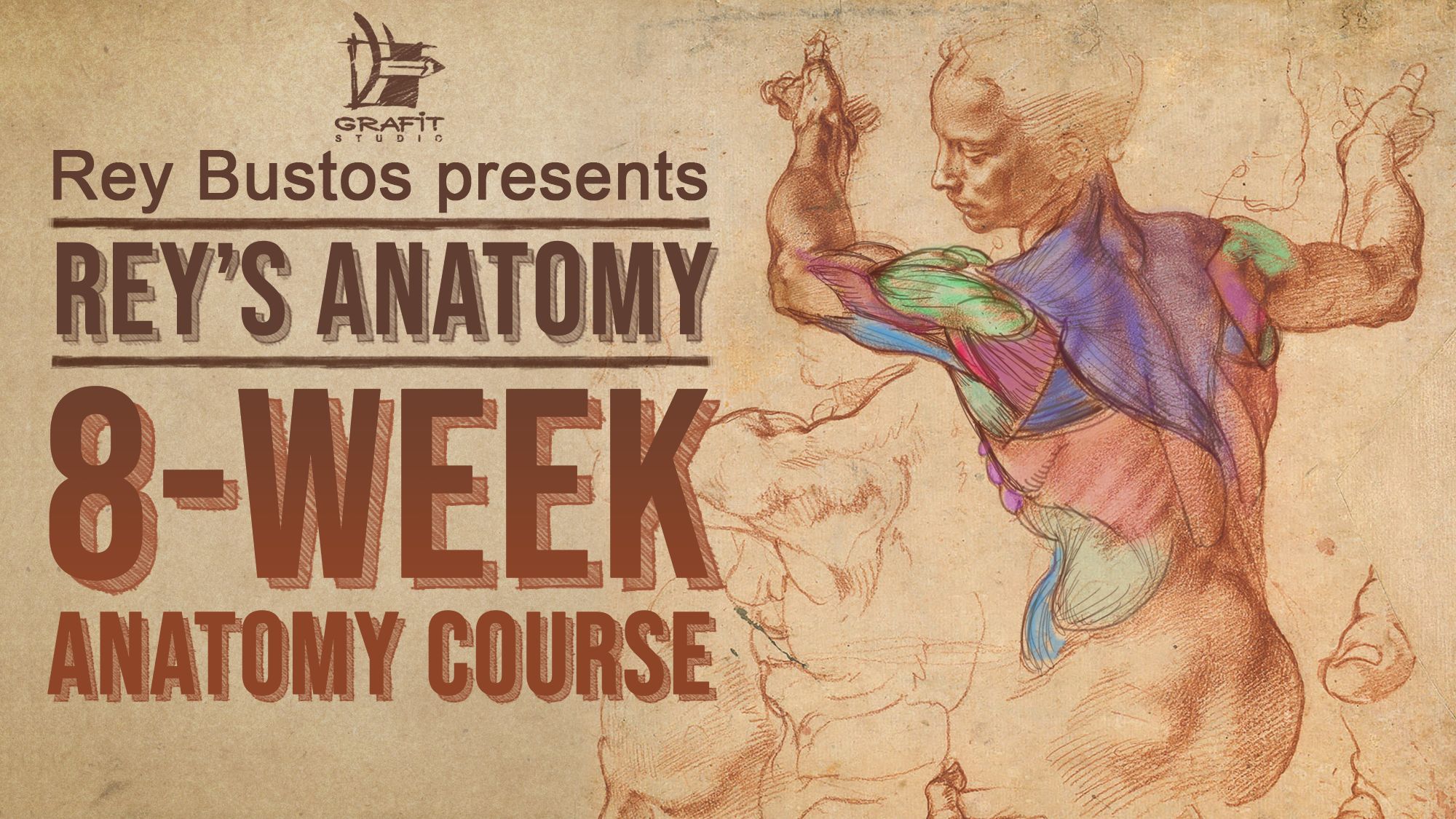 Rey's Anatomy FULL COURSE with 30% off. Our biggest product yet ...