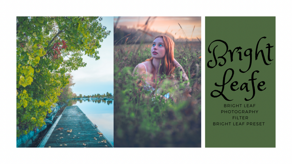 Bright Leaf Filter - Lifestyle Filters, Influencer Preset, Mobile ...