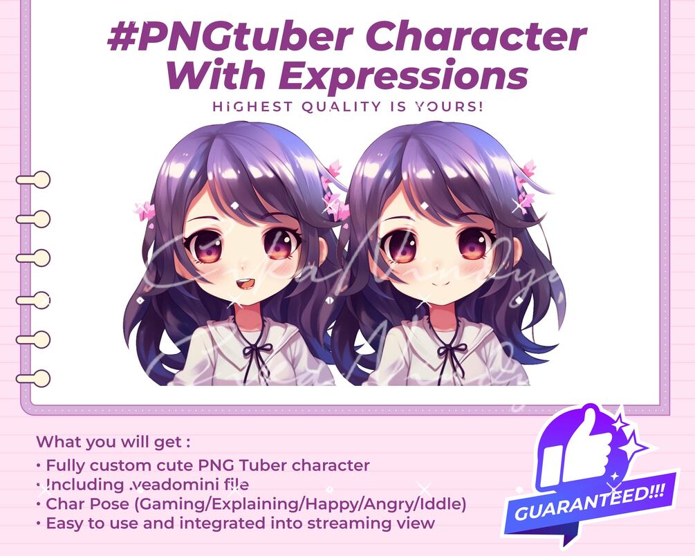 PNGTuber | Level Up Your Streams with a Cute PNG Tuber | You'll Get 2 ...