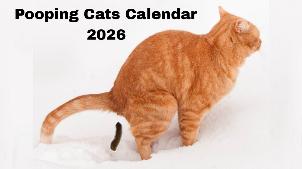 Pooping Cats Calendar 2026