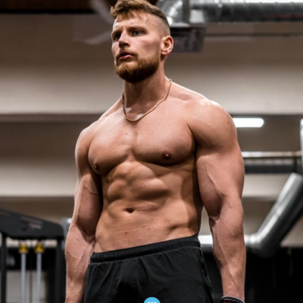How To Get Shredded Guide