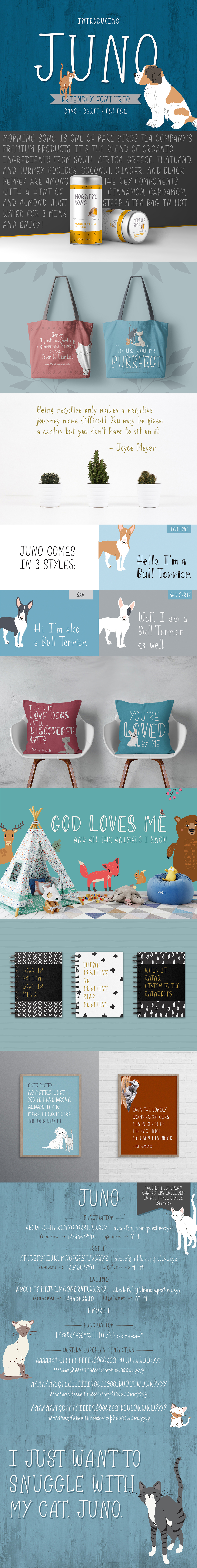 JUNO Font Trio | Sans • Serif • Inline