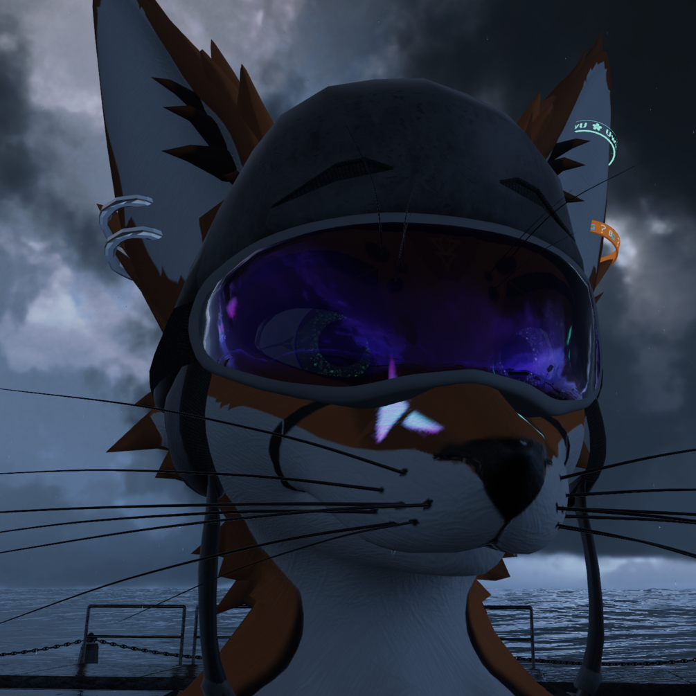 Ski Head gear Rexouium