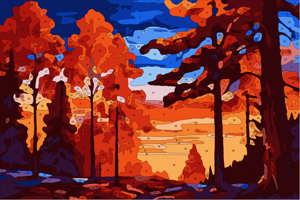 Sunset in a Forest Color by Number
