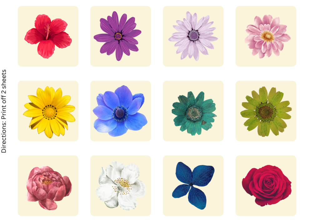 Memory Game- Flowers (PDF)
