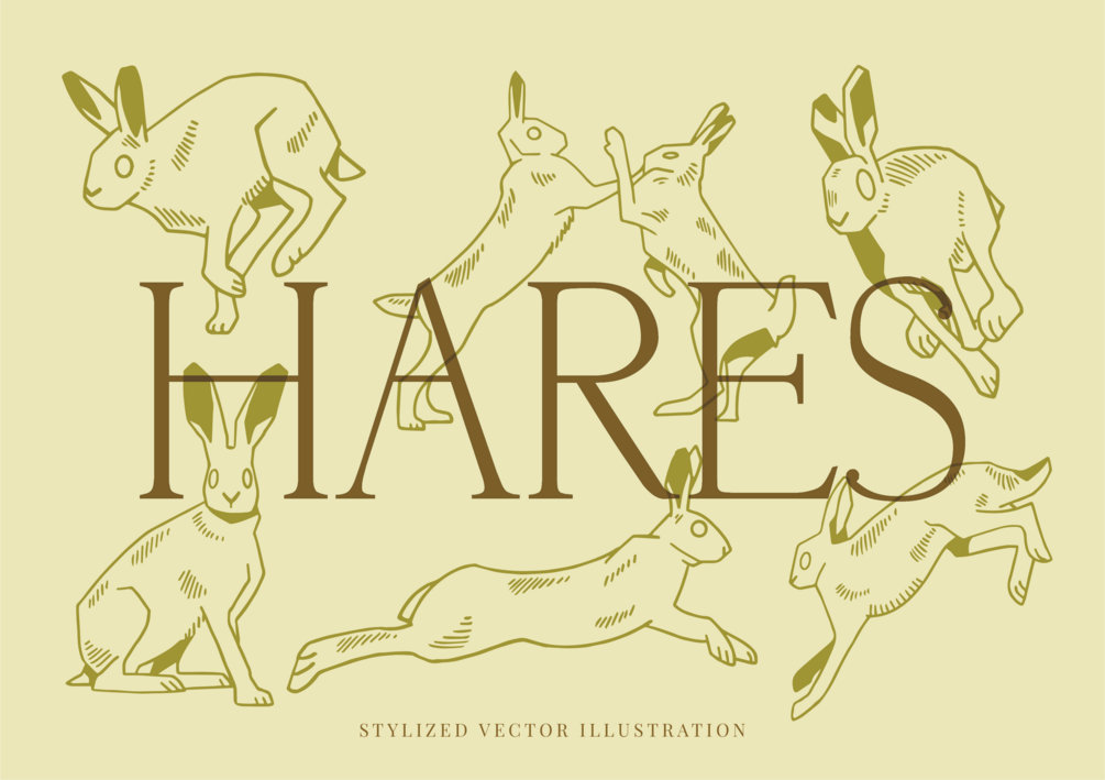 Stylized hare illustrations