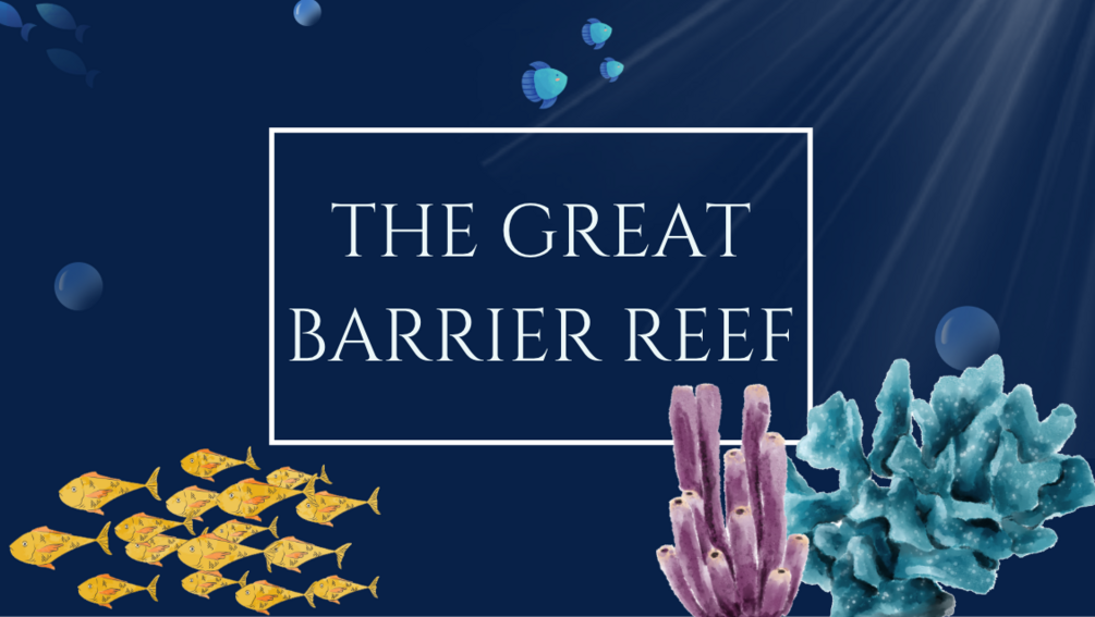 The Great Barrier Reef - Learning Module Template For Kids