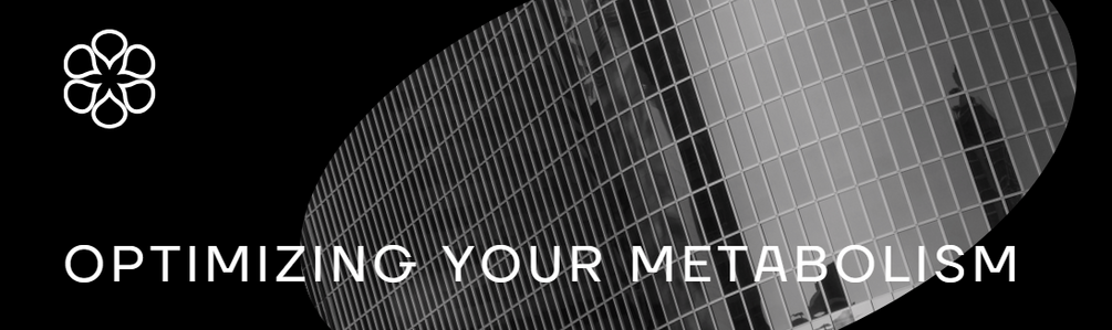 Optimizing Your Metabolism PDF