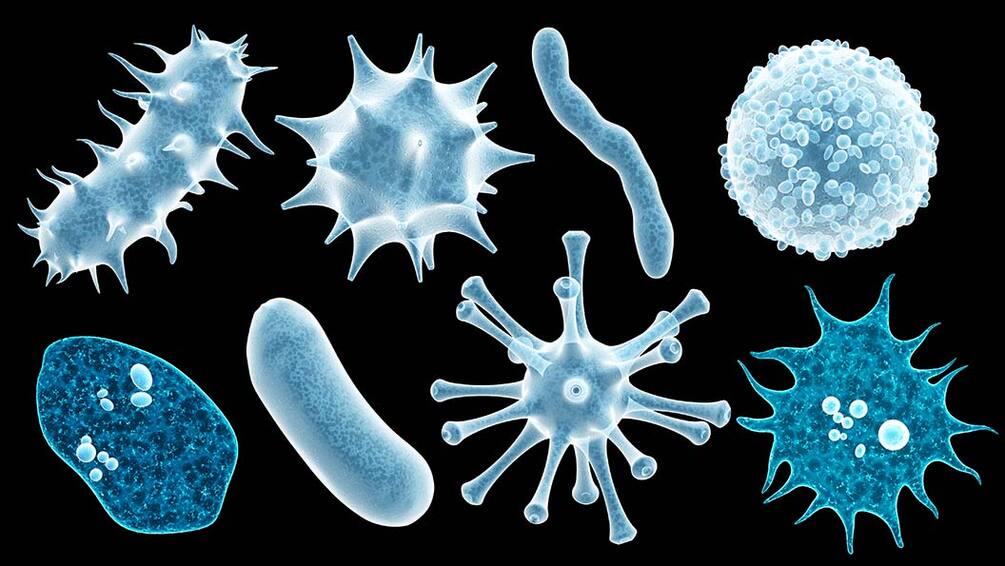 Tips to stay safe as four viruses circulate in U.S