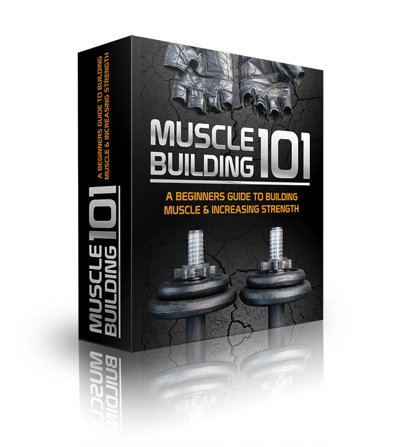 Muscle Building 101