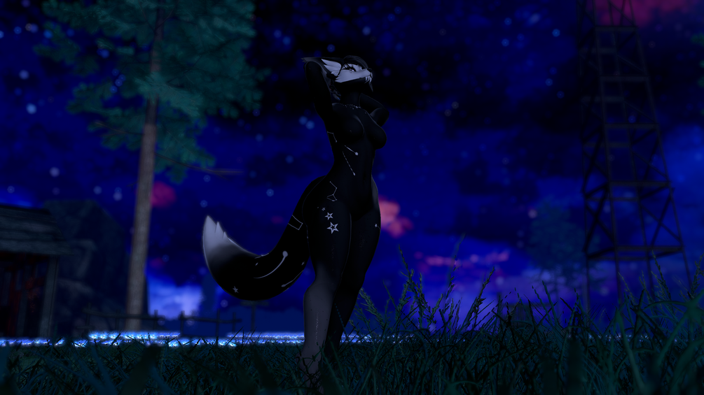 Constellation COM₊ ‧₊ ~ Nebula FoxiPaws