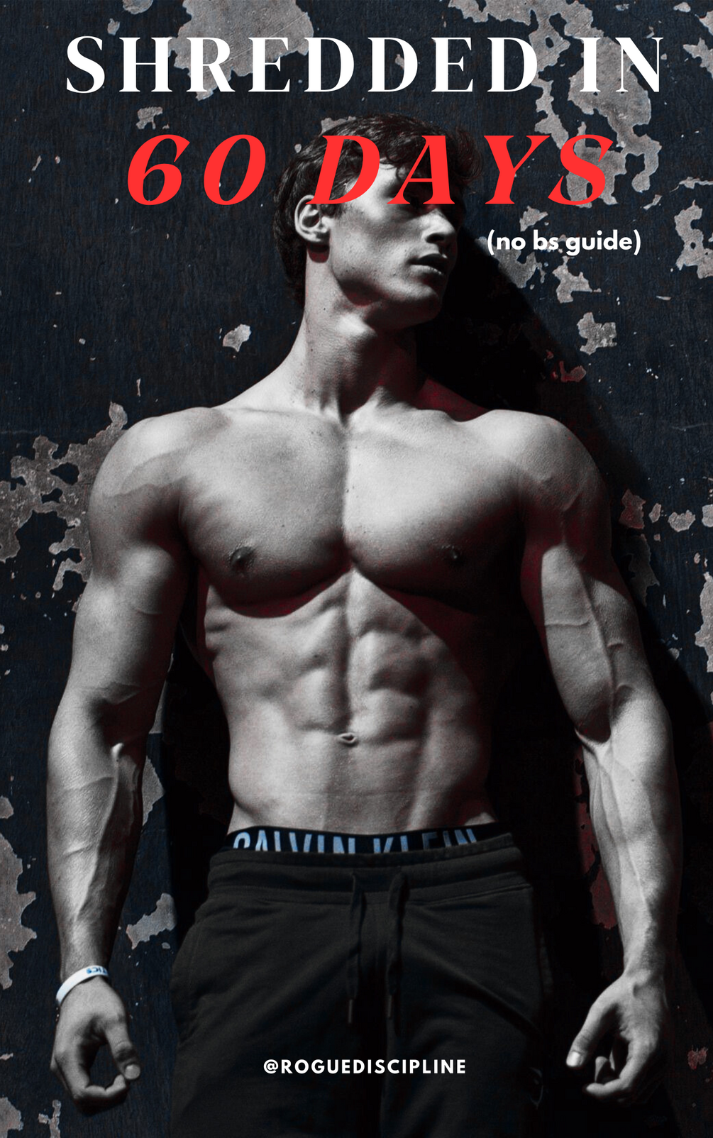 Shredded in 60 Days : no BS Guide