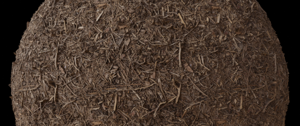 Beach Driftwood Flotsam / Photoscanned / PBR Material