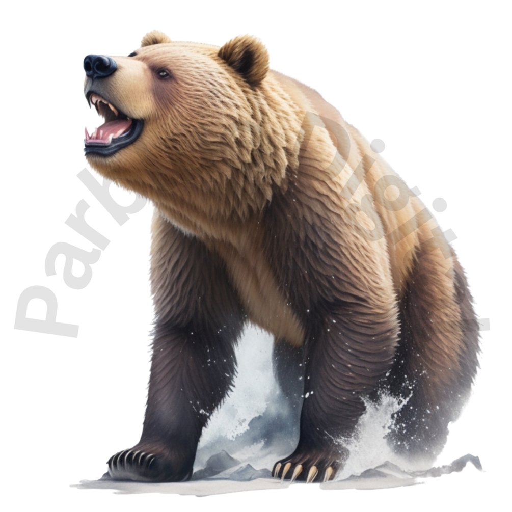 Roaring Bear Clip Art With Transparent Background | Digital Download ...