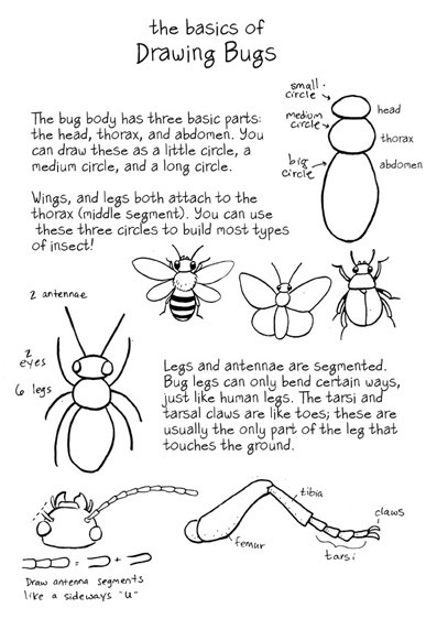 The Basics of Drawing Bugs (2pp, A4)