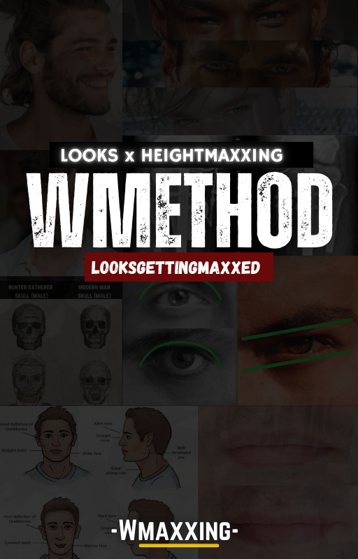 Wmethod Ebook