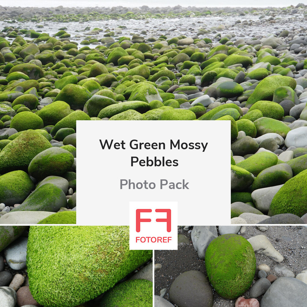 61 photos of Wet Green Mossy Pebbles